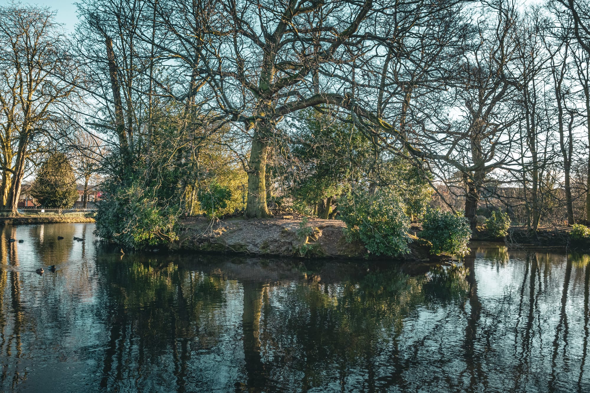 What’s Left of Hagley Hall? Exploring Rugeley’s Forgotten Estate