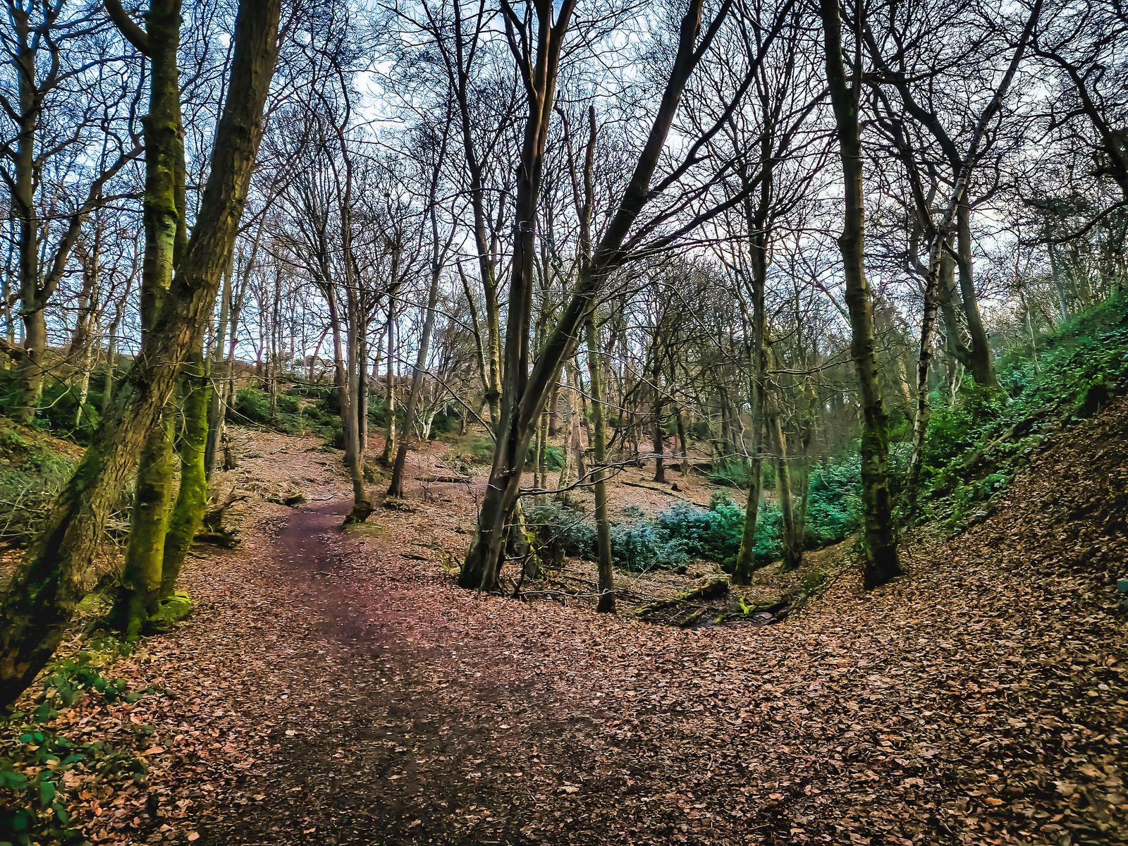 The Chained Oak - The Facts Behind the Folklore