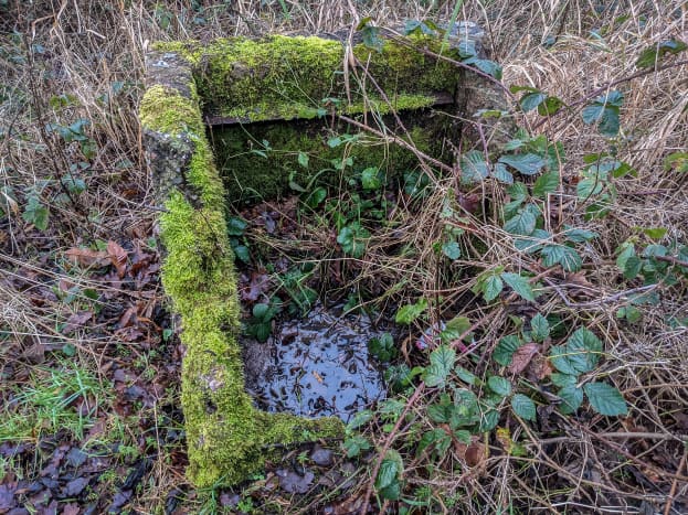 Are There Hidden Tunnels Beneath Abbey Hulton?